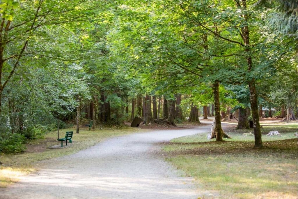 Our guide to the best parks in Ridge Meadows – The Ridge