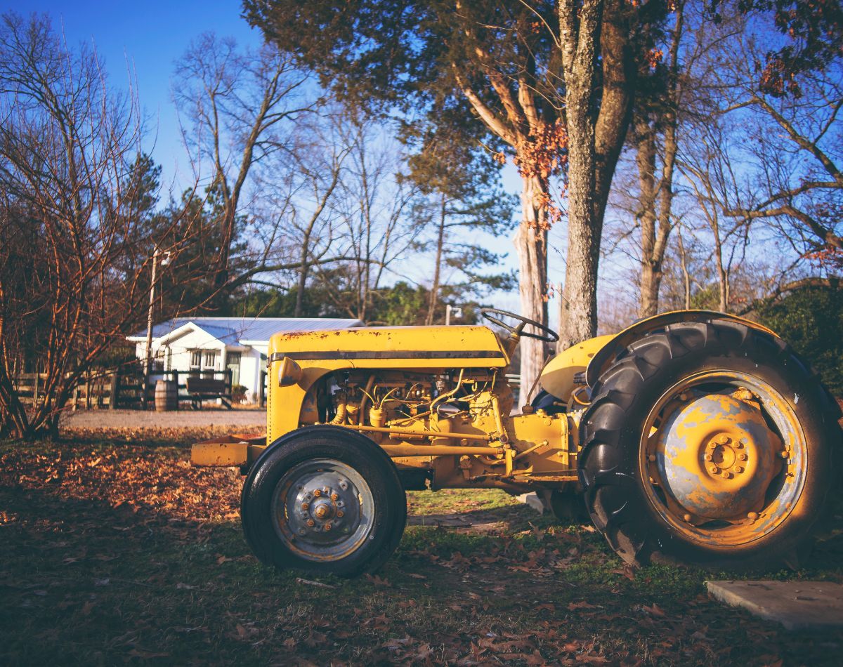 What to expect at the MRPM CountryFest 2022 – The Ridge