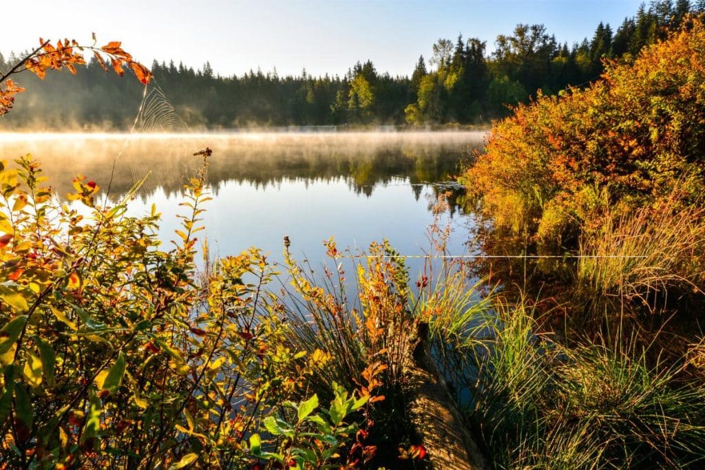 A guide to local lakes in and near Maple Ridge – The Ridge