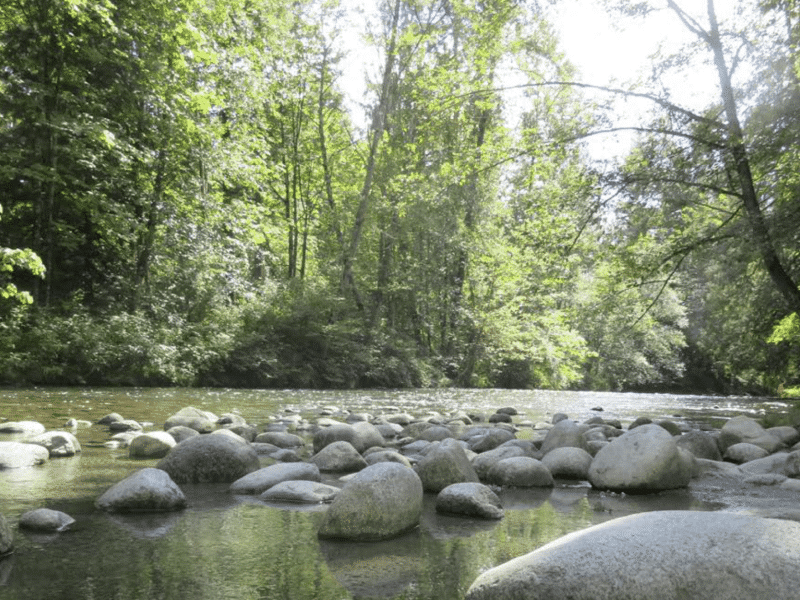 Maple Ridge Archives – The Ridge