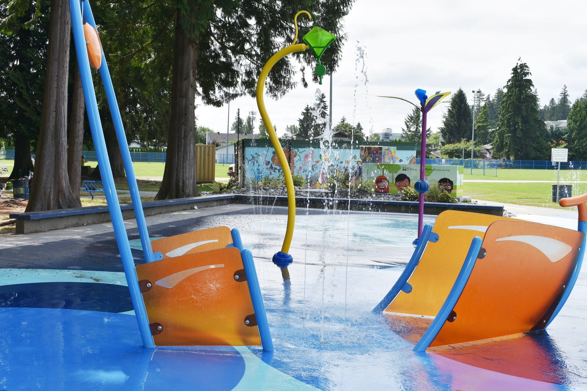 Pitt Meadows pumps the brakes on new art in Harris Road Park – The Ridge