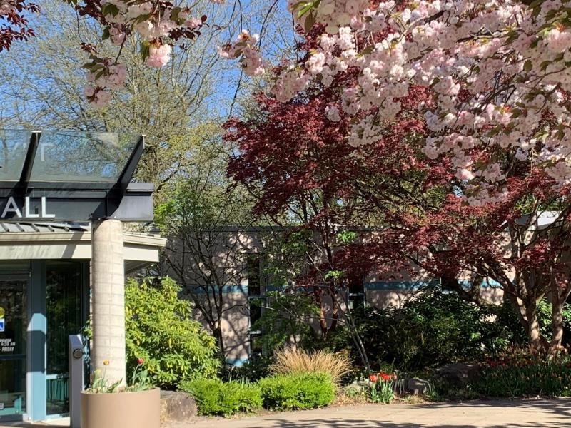 'Costly mistake': Arts council slams Maple Ridge takeover of the ACT ...